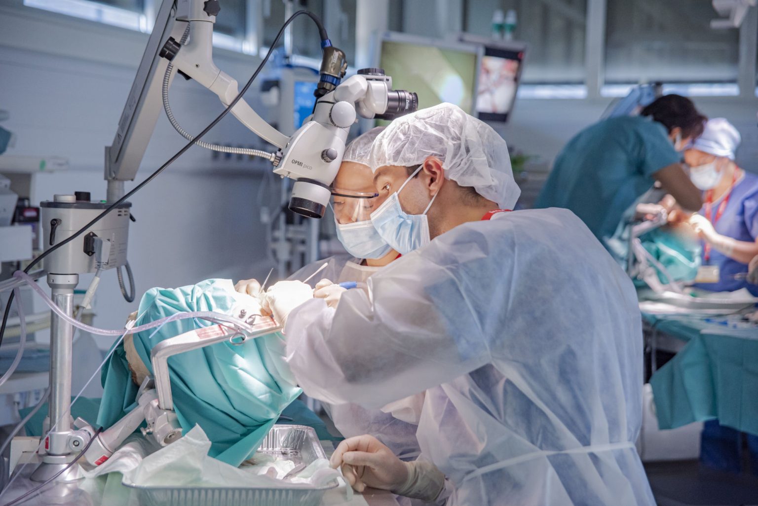 Microscopic and endoscopic approaches | 360-degree skull-base course