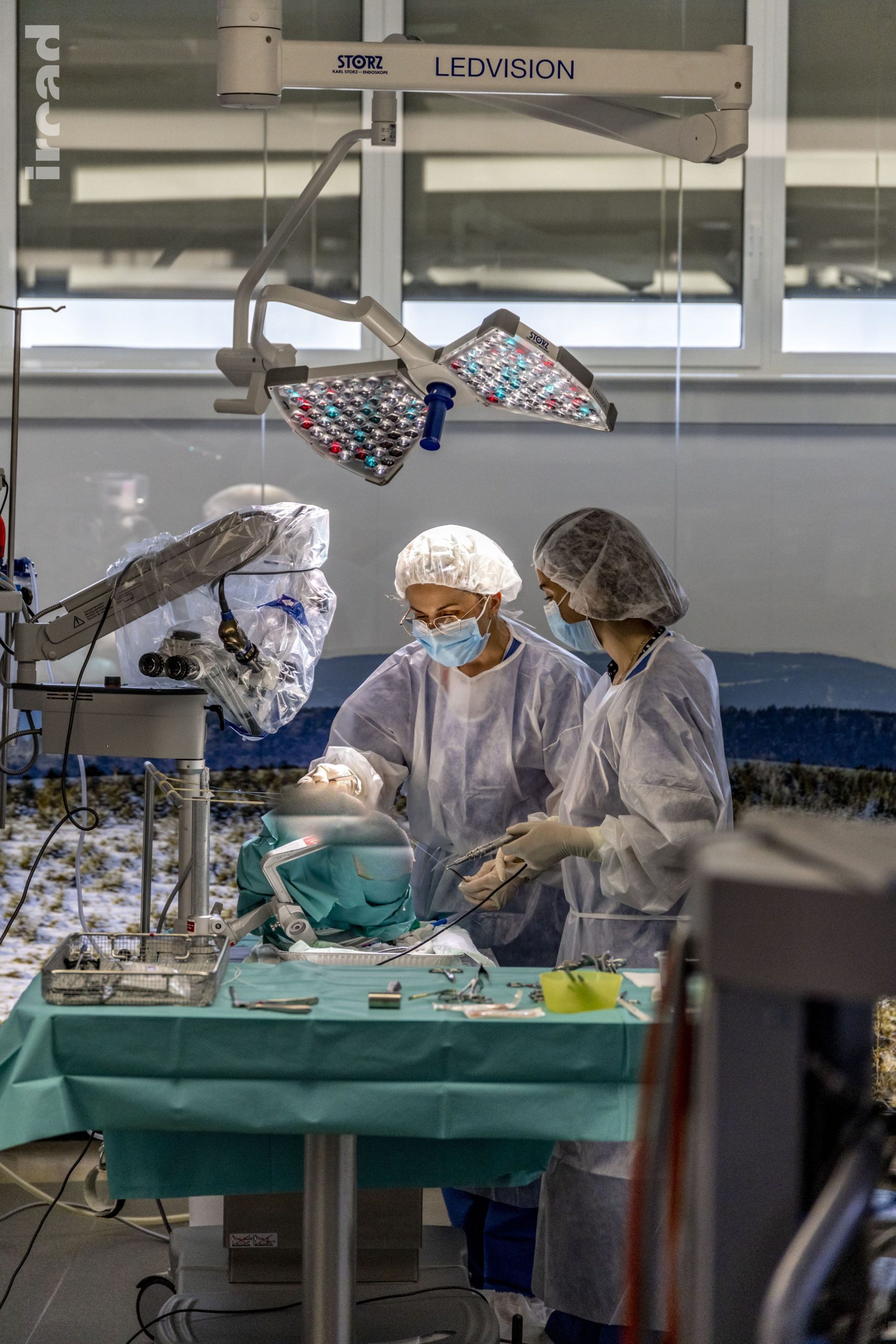 Microscopic and endoscopic approaches | 360-degree skull-base course